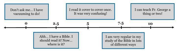 The backyard fence | friarmusings