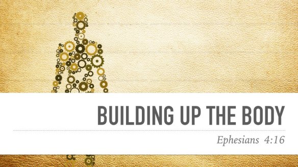 Ecclesial Anatomy | friarmusings