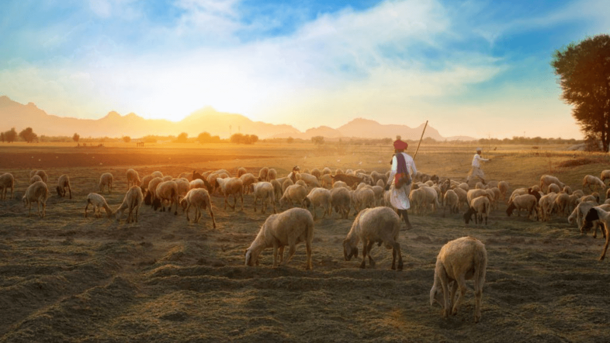 Oneness | friarmusings